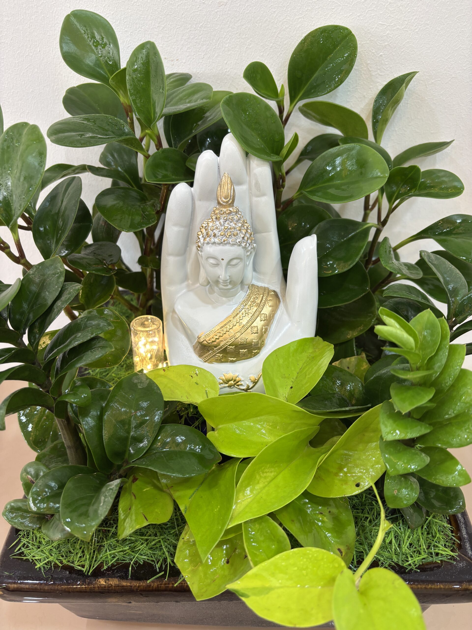 Buddha Hand with Plants Planter | Serene Buddha Planter - The ...